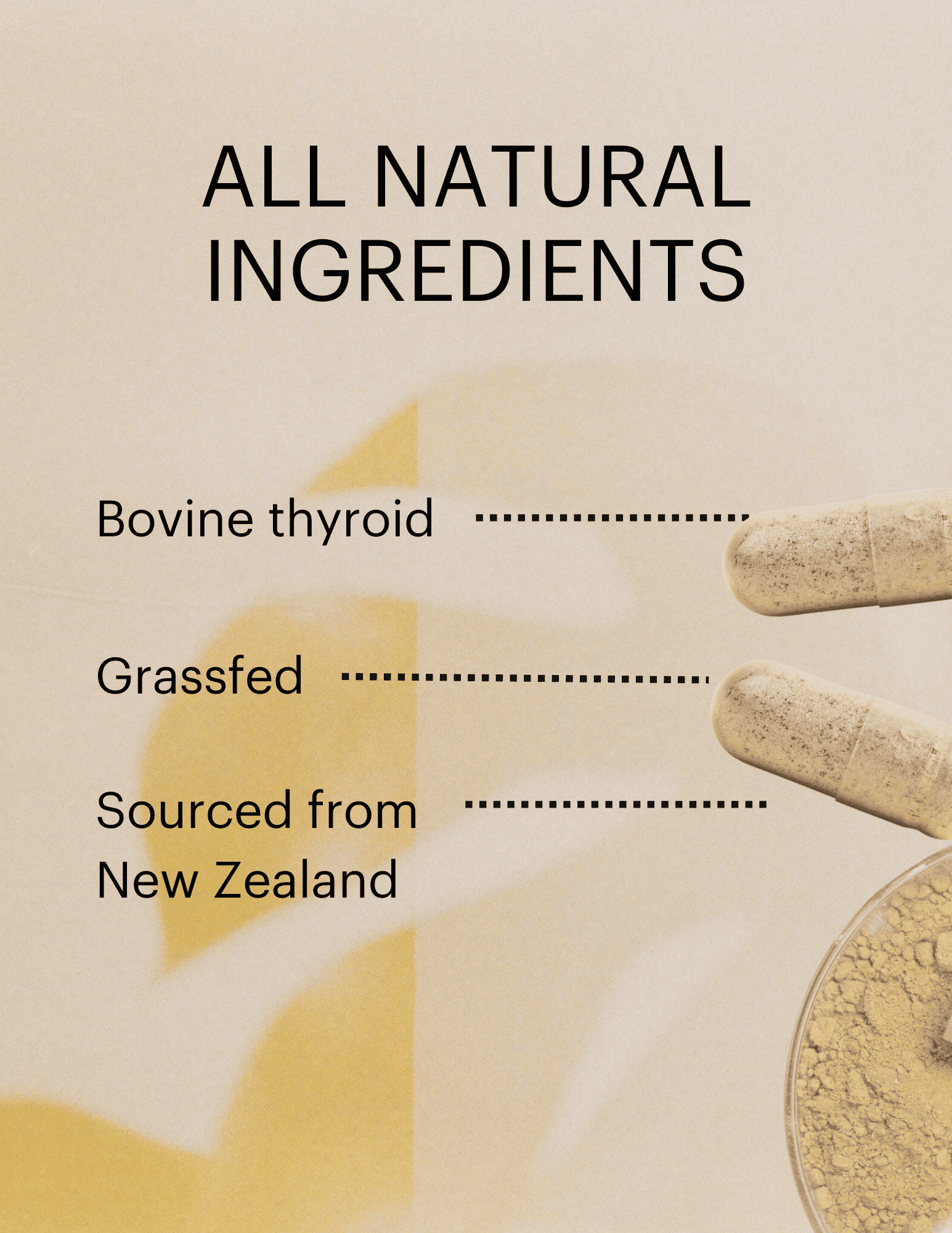 The Natural Desiccated Thyroid 65mg – Raena