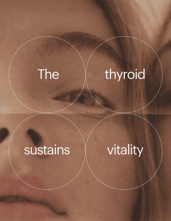 The Natural Desiccated Thyroid 65mg – Raena